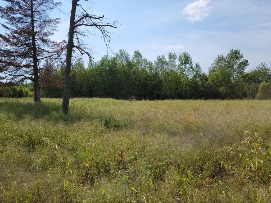 Projects - Lakeshore Environmental, Inc. - West Michigan