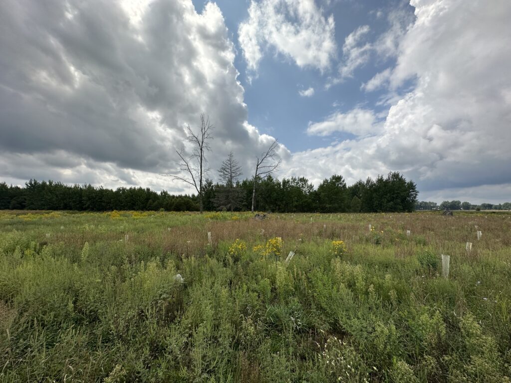Projects - Lakeshore Environmental, Inc. - West Michigan